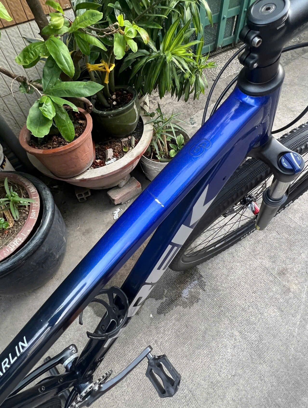 Xe lướt Trek Marlin 6 -2023 – Linh Bike